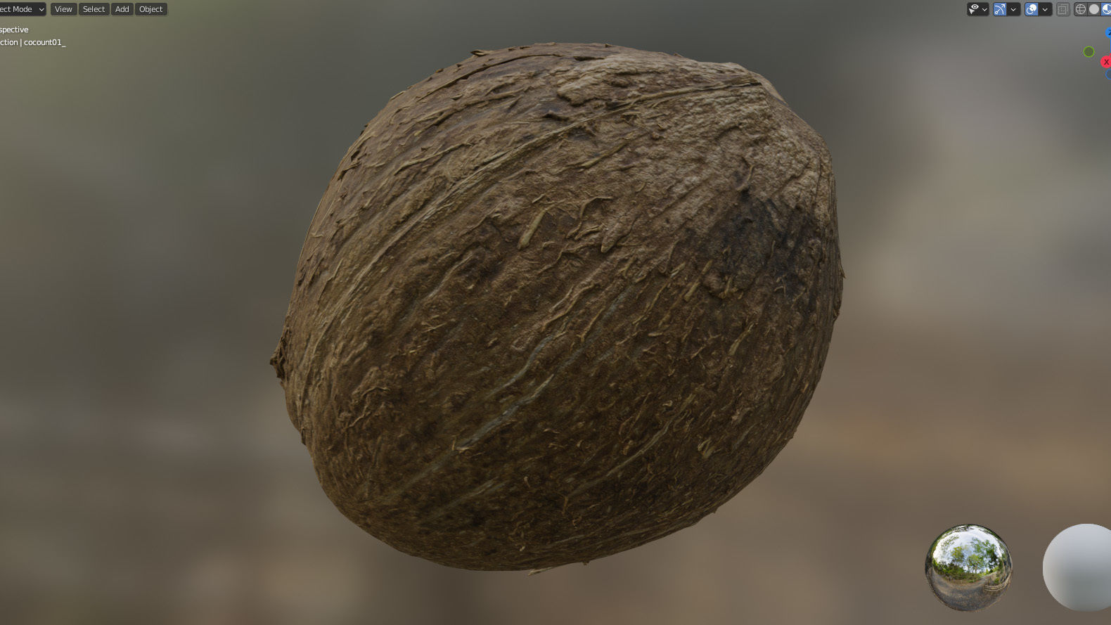 4k coconut 3D model | CGTrader