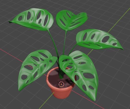 Swiss Cheese Plant 3D Model 3D model | CGTrader