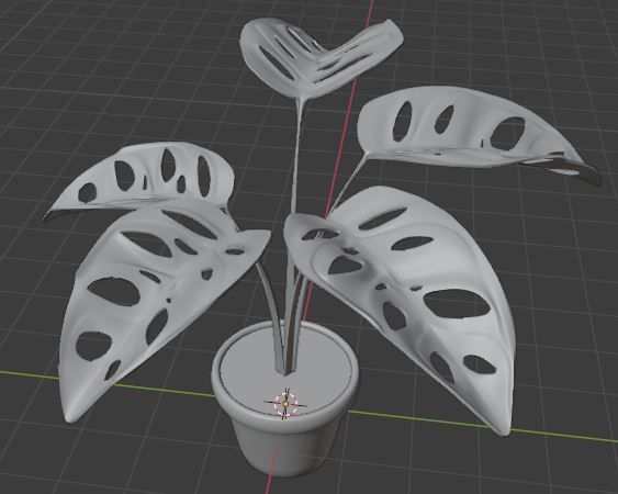 Swiss Cheese Plant 3D Model 3D model | CGTrader