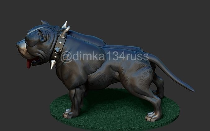 pit bull 3D model 3D printable | CGTrader