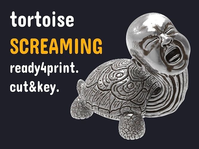 tortoise baby scream cry garden ornament 3D model 3D printable | CGTrader
