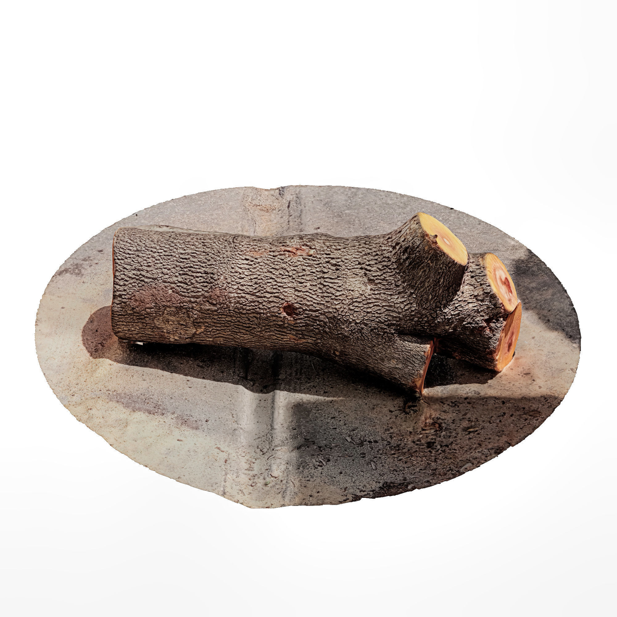 3D model tree trunk 2 VR / AR / low-poly | CGTrader