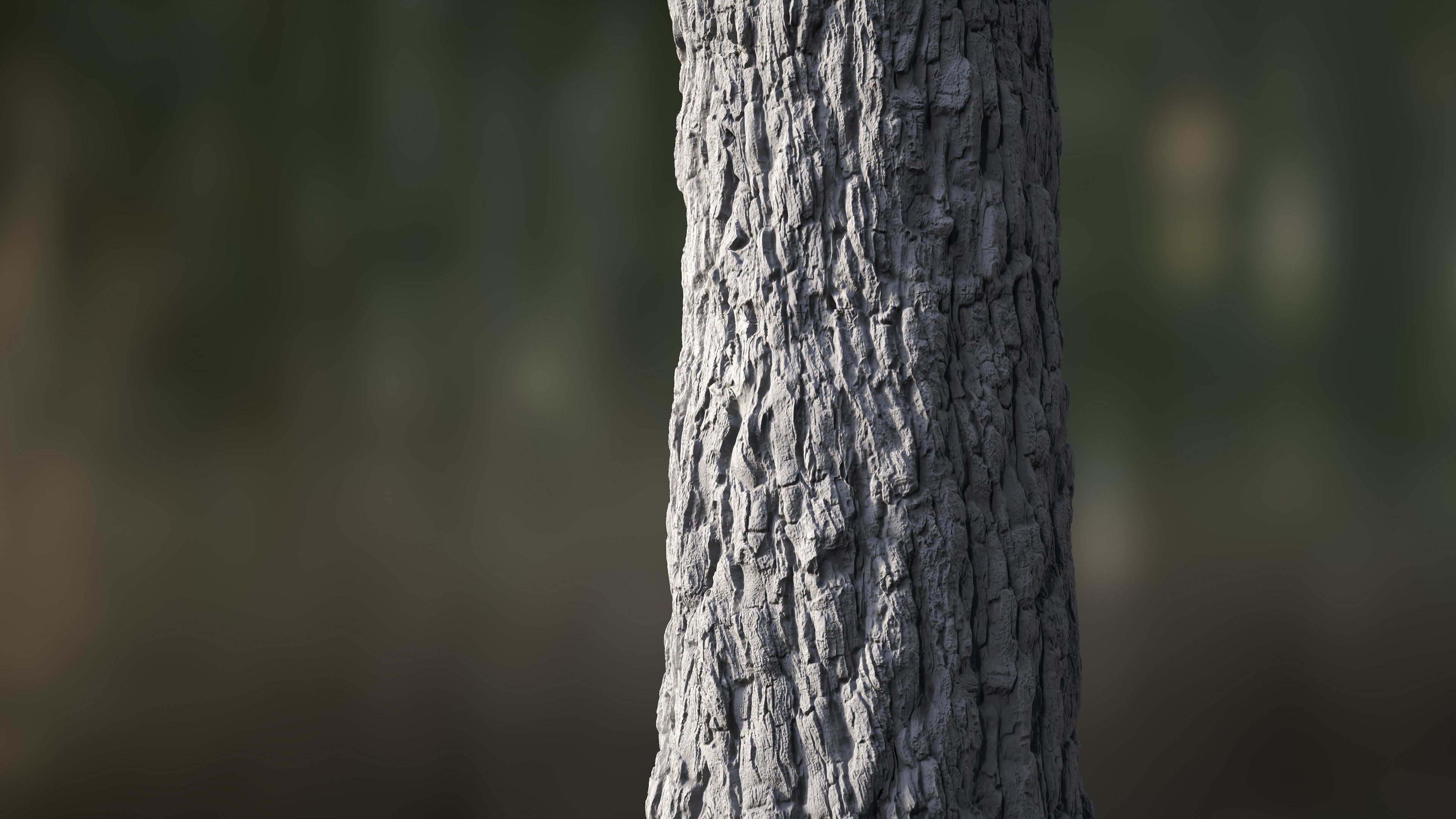 Tree Bark 3D Model Collection | CGTrader