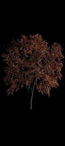 Tree with many branches curve free 3D model | CGTrader