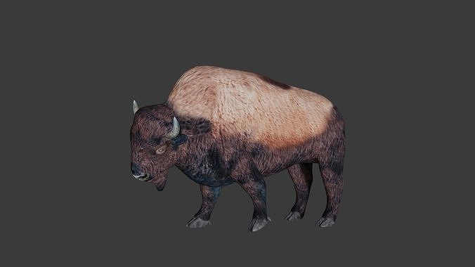 3D model Bison VR / AR / low-poly rigged | CGTrader