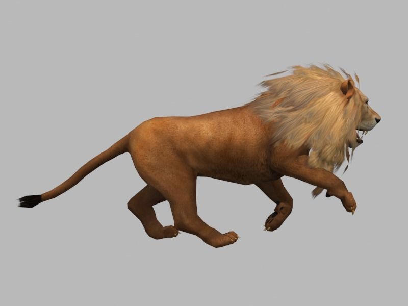 lion run loop 3D model | CGTrader