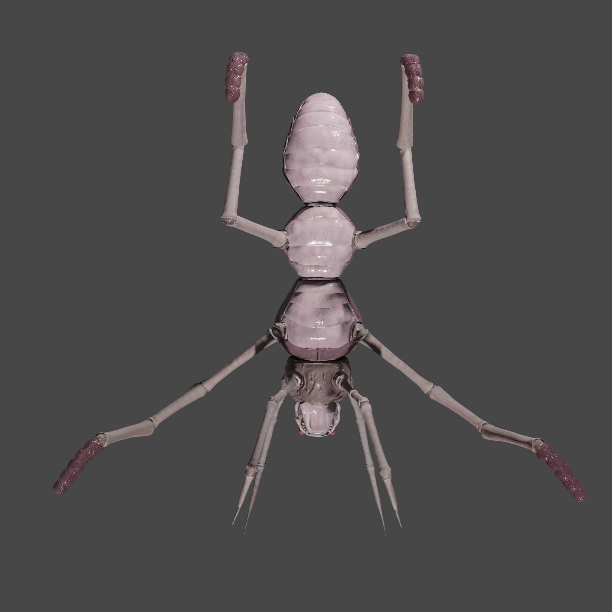 3D model Arthropoda creature VR / AR / low-poly | CGTrader