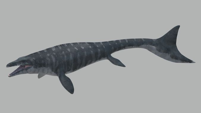 Mosasaurus Hoffmanni Historically Accurate 3D model animated rigged ...