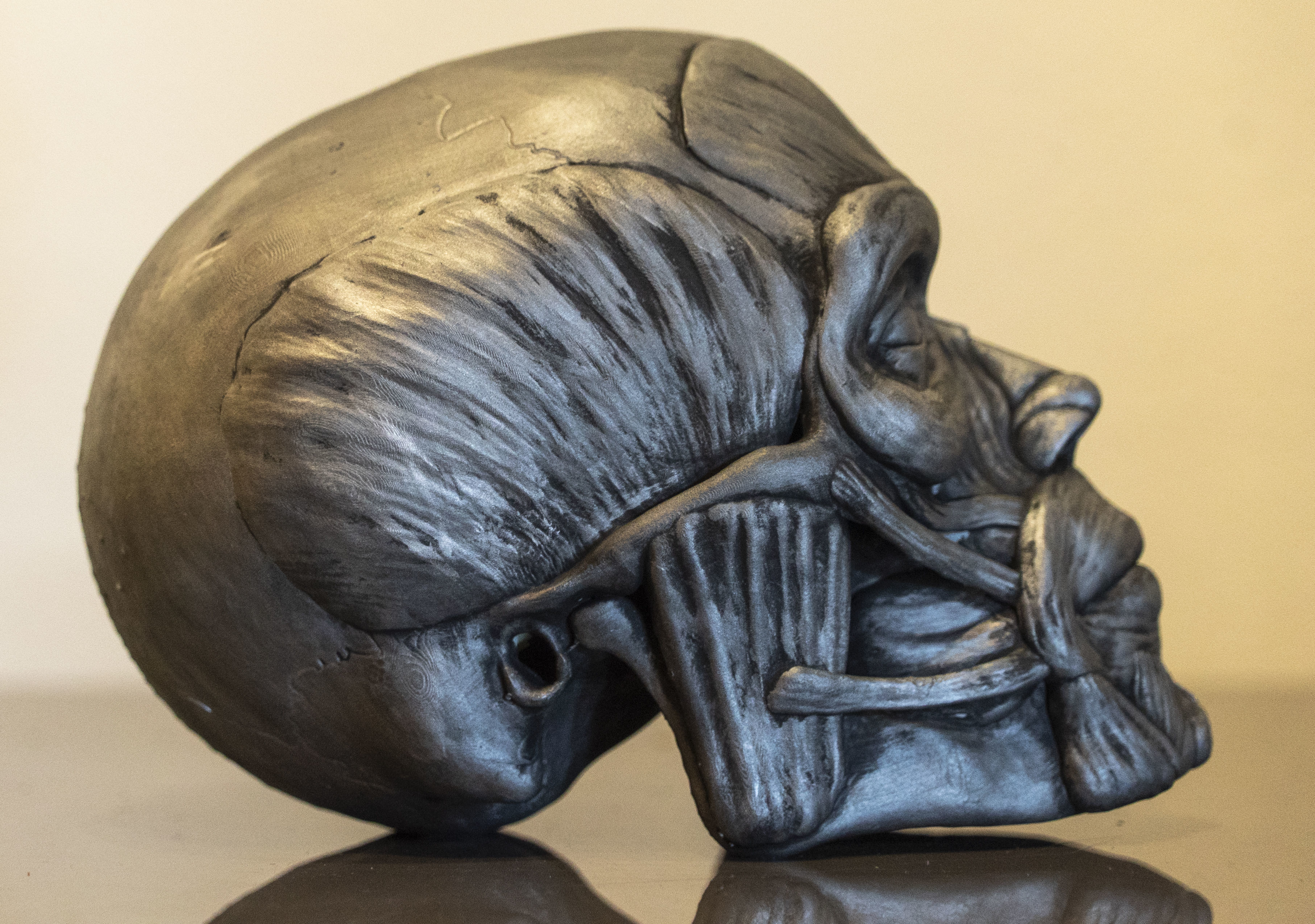 Head ecorche 3D model 3D printable | CGTrader