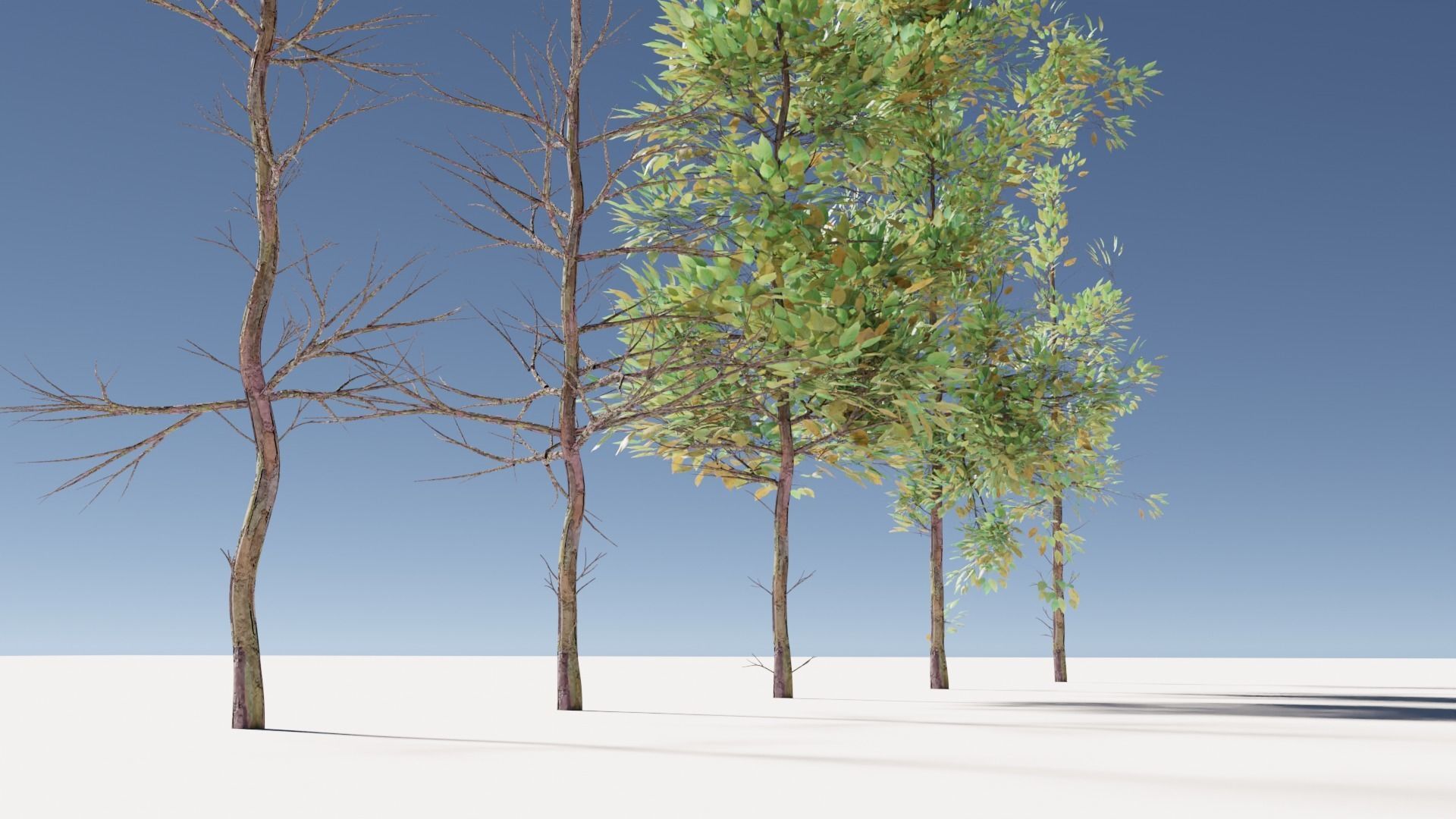 Trees four free 3D model | CGTrader