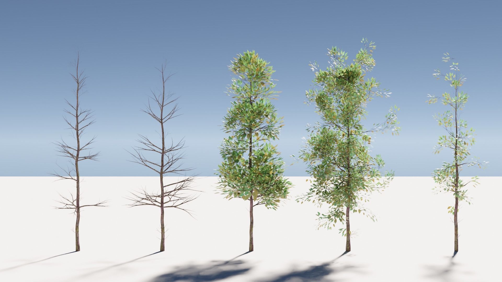 Trees free 3D model | CGTrader