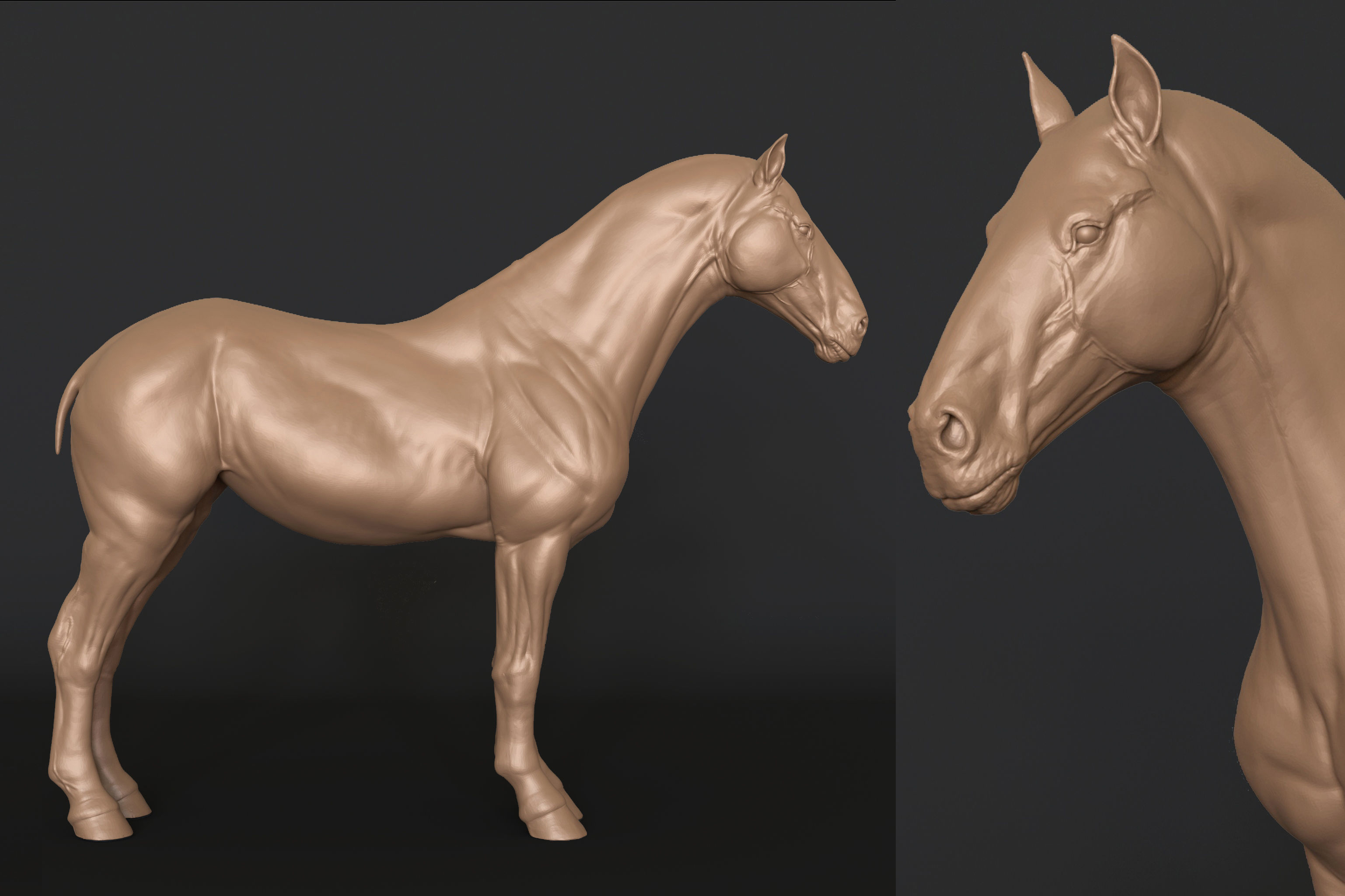 Stallion Horse Sculpt highres 3D print model 3D model 3D printable ...