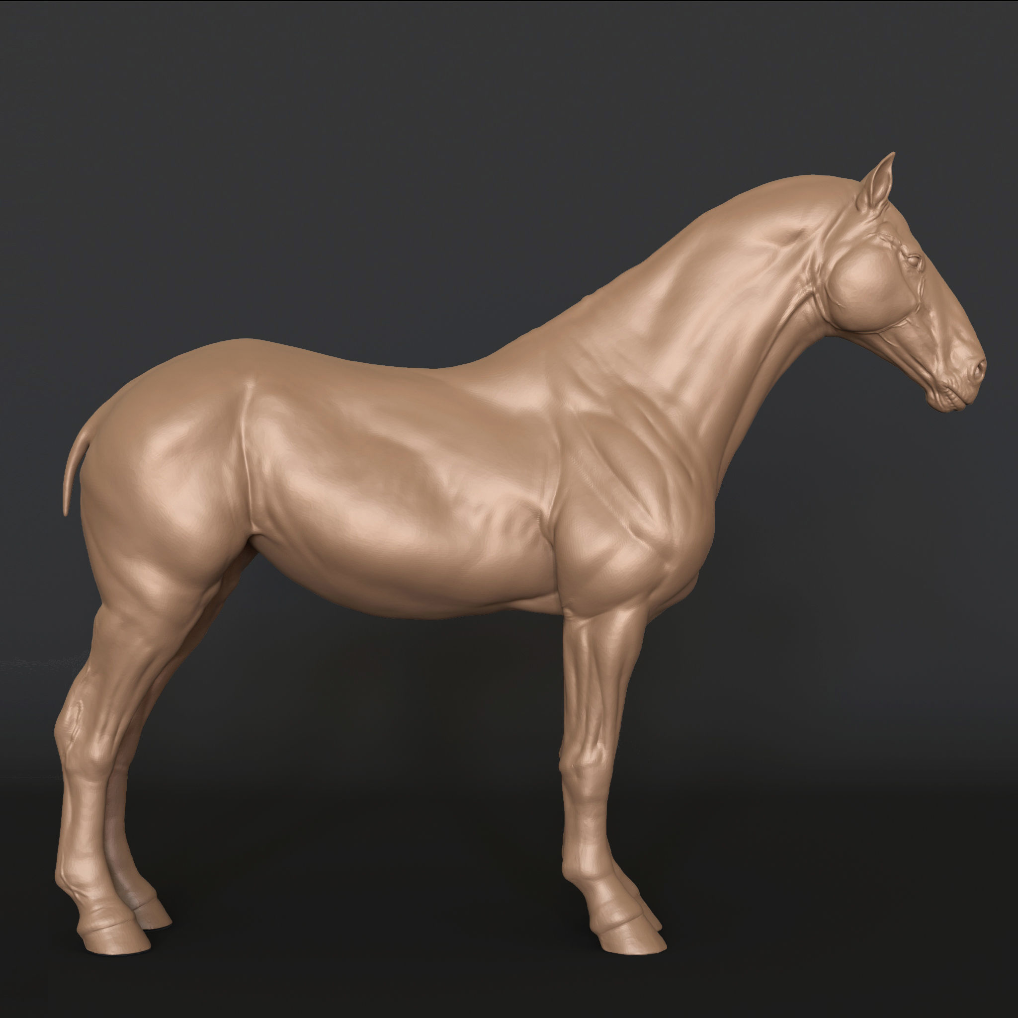 Stallion Horse Sculpt highres 3D print model 3D model 3D printable ...