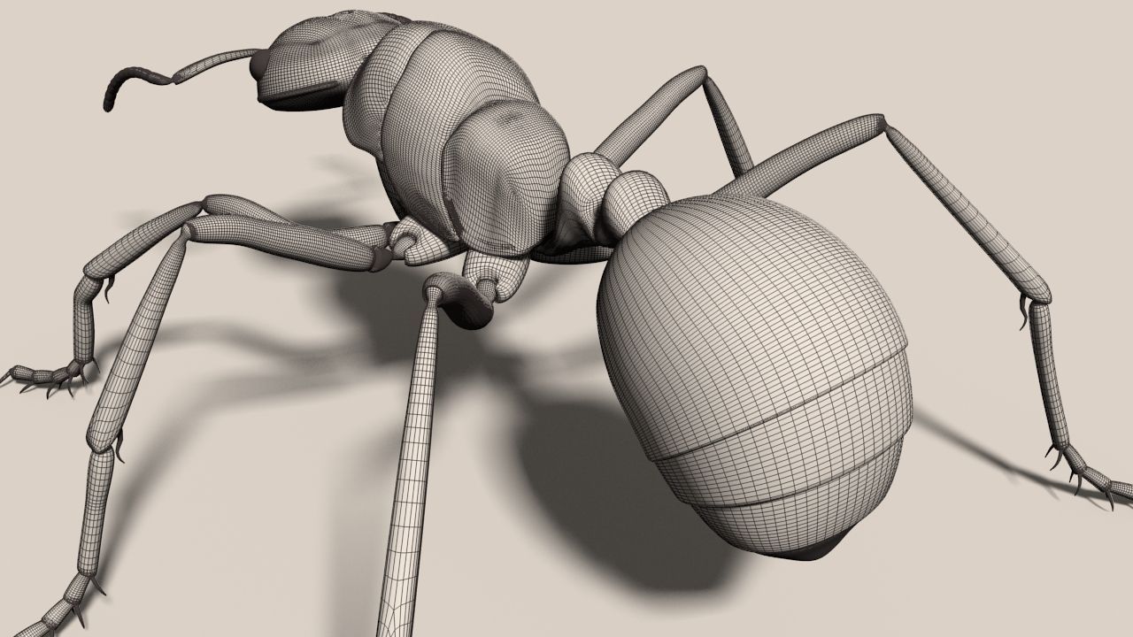 Fire Ant 3D model | CGTrader