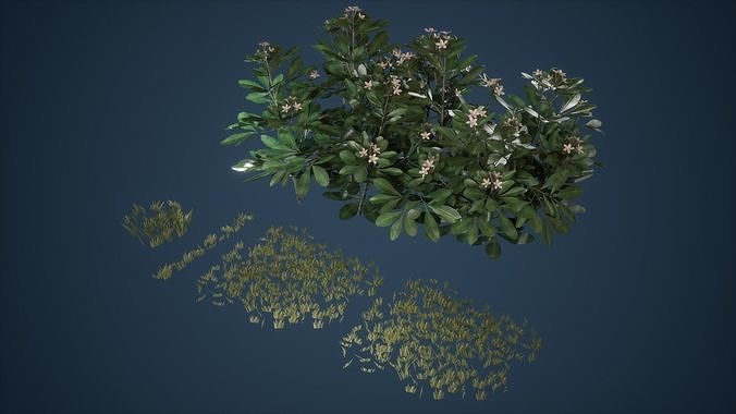 3D model Grass Patch and Bush Game Ready VR / AR / low-poly | CGTrader