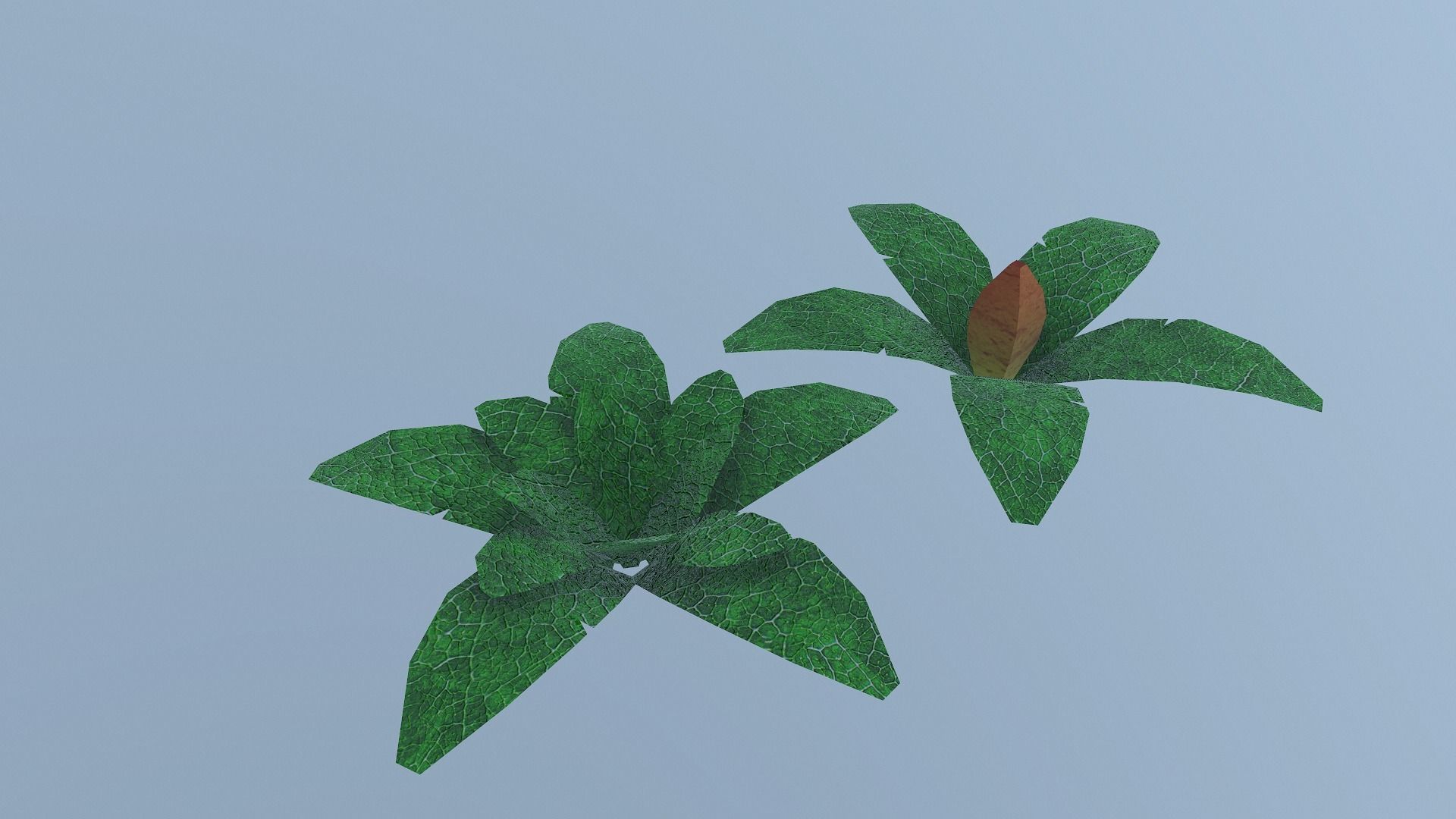3D model Low Poly Tropical Plant VR / AR / low-poly | CGTrader