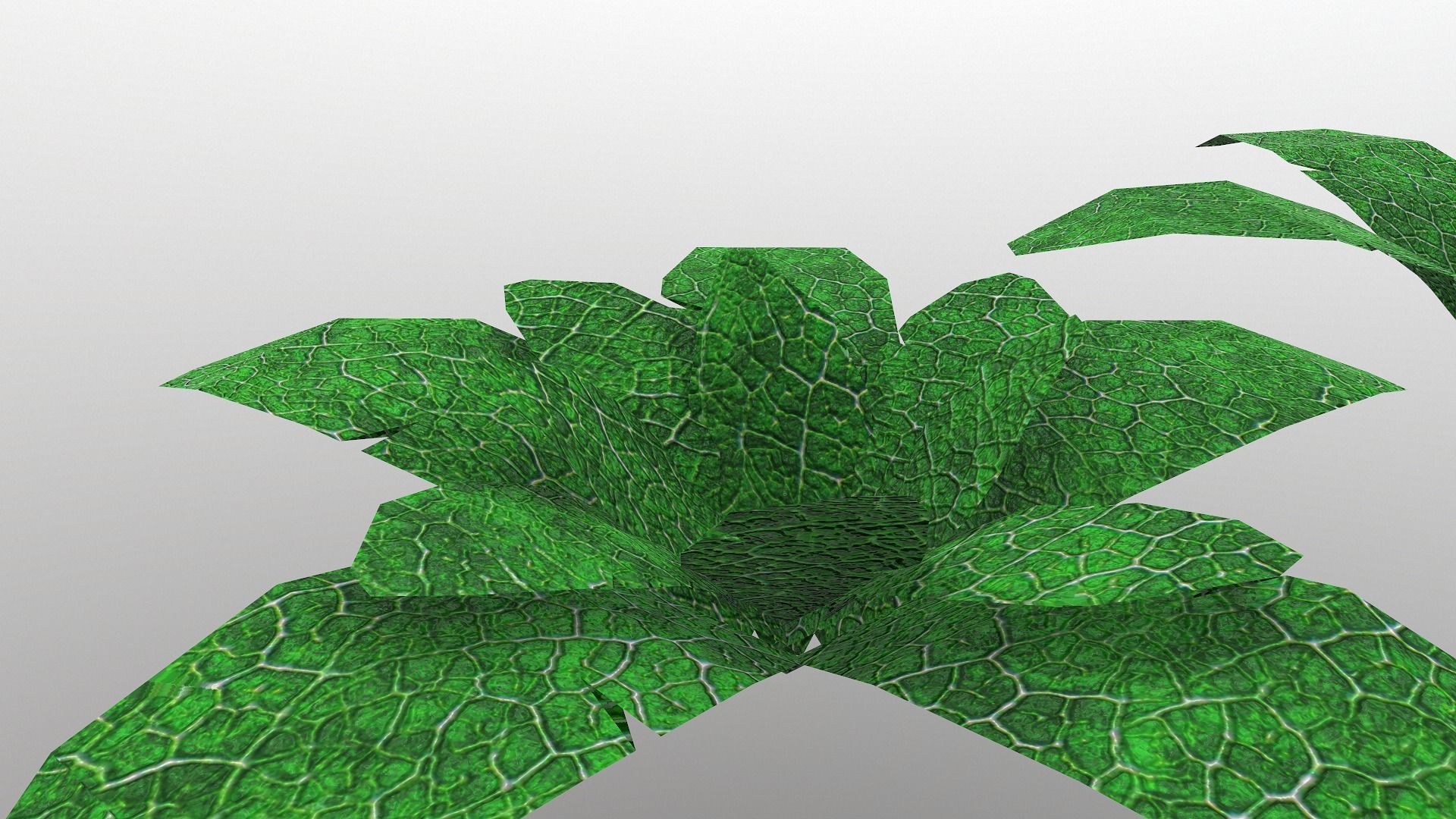 3D model Low Poly Tropical Plant VR / AR / low-poly | CGTrader