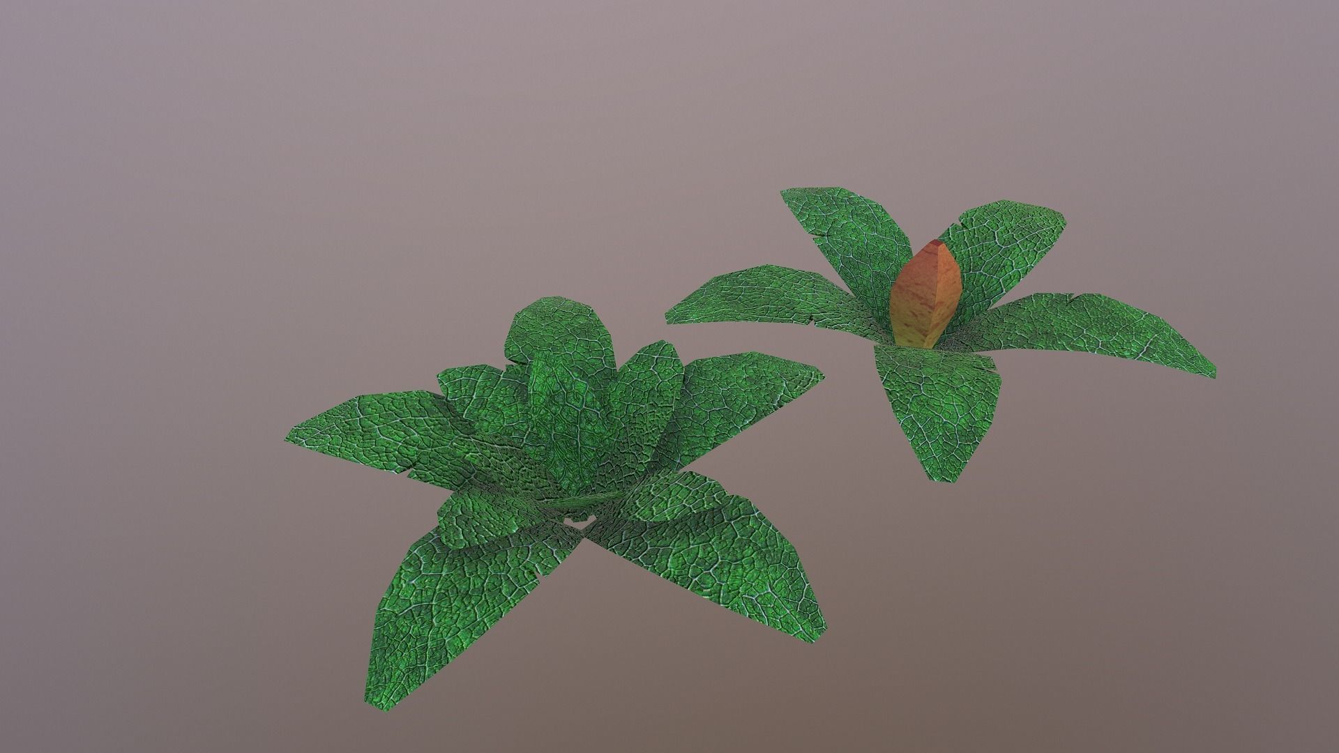 3D model Low Poly Tropical Plant VR / AR / low-poly | CGTrader