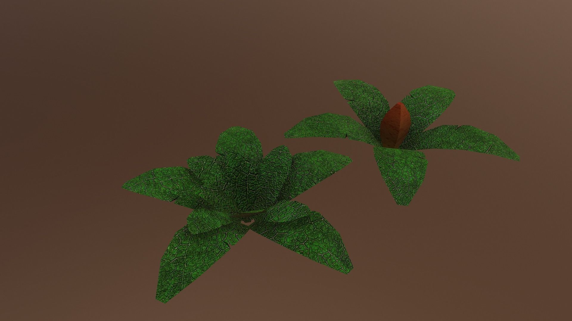 3D model Low Poly Tropical Plant VR / AR / low-poly | CGTrader