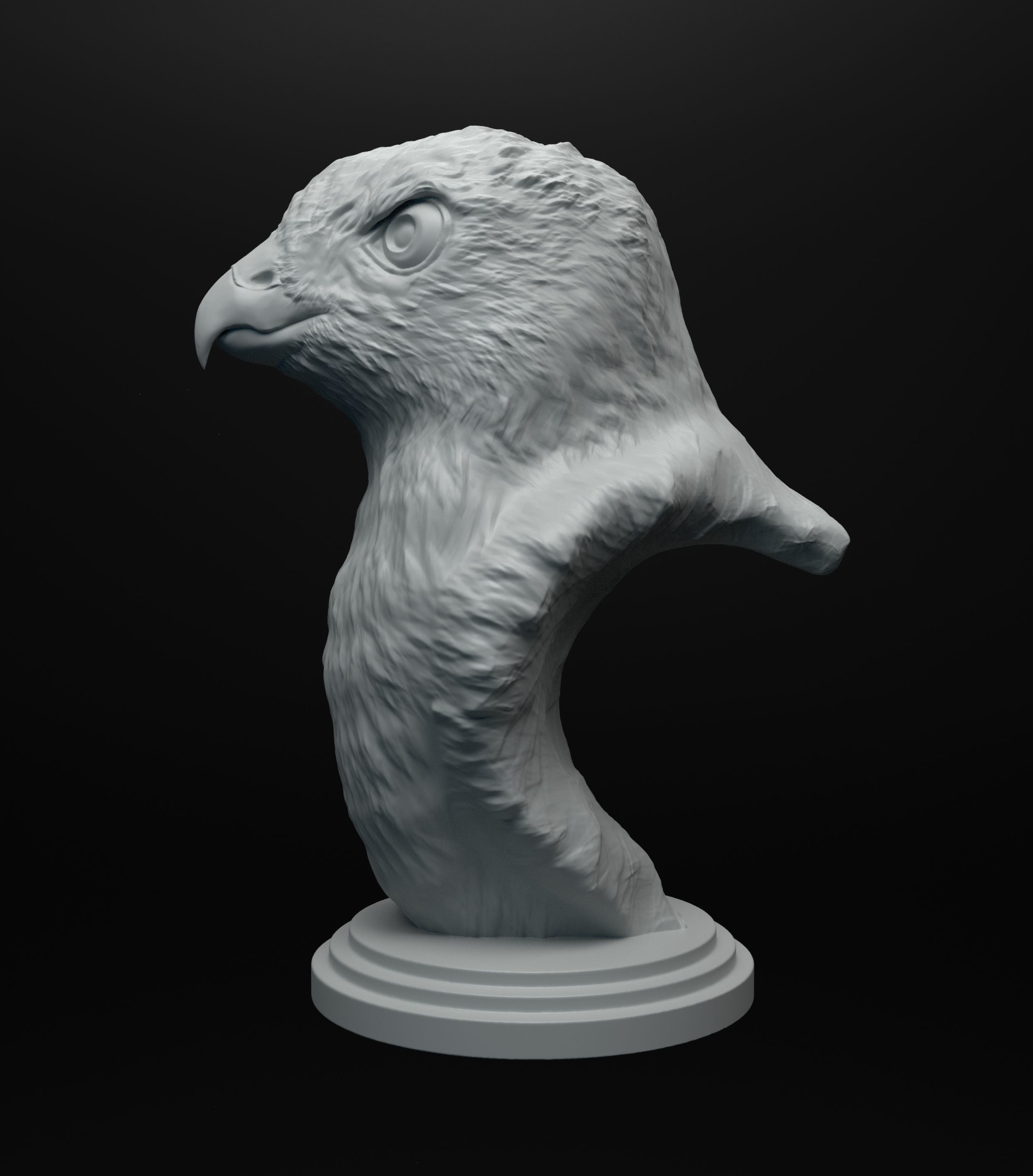 Hawk bust intended for 3D printing 3D model 3D printable | CGTrader