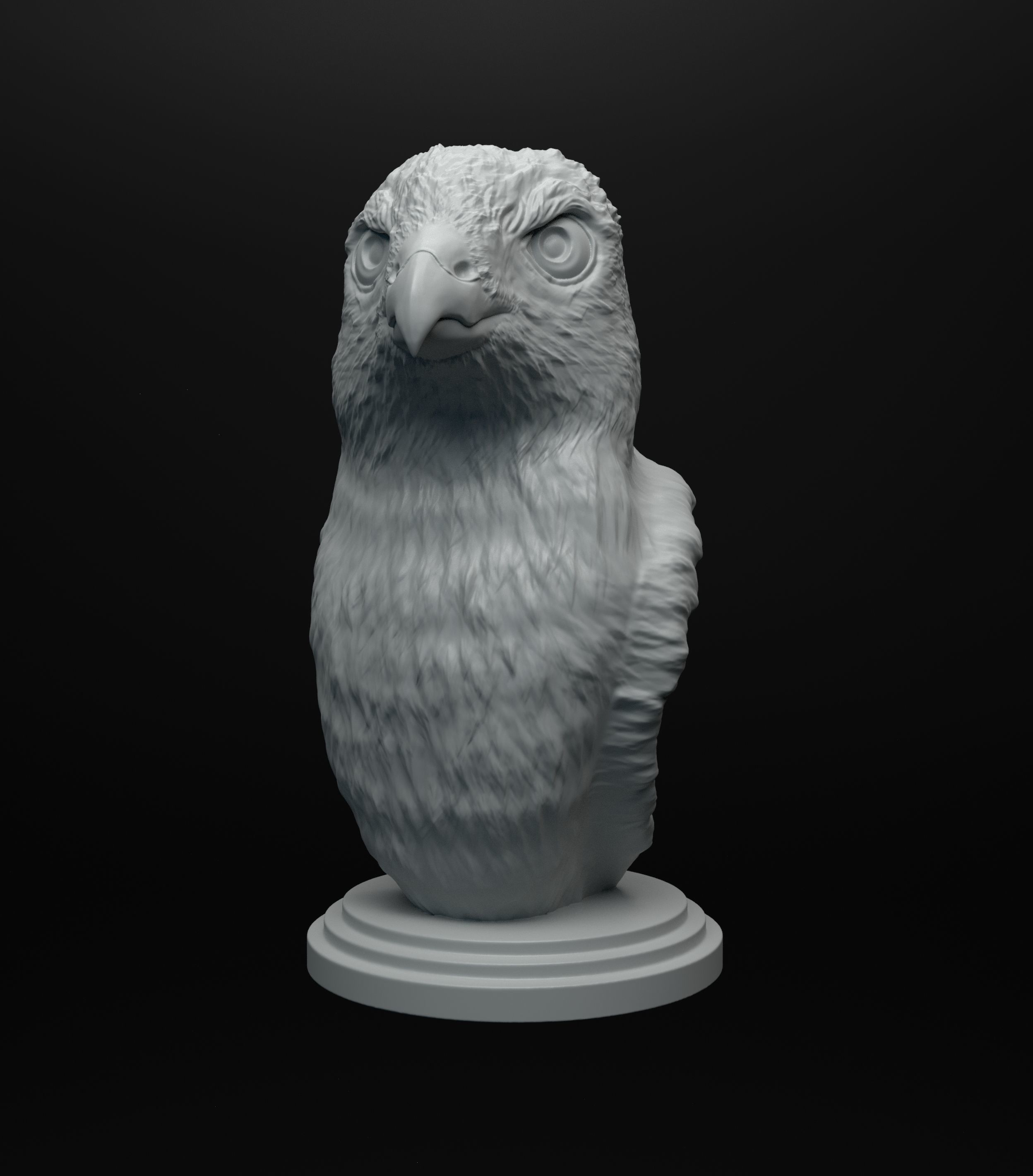 Hawk bust intended for 3D printing 3D model 3D printable | CGTrader