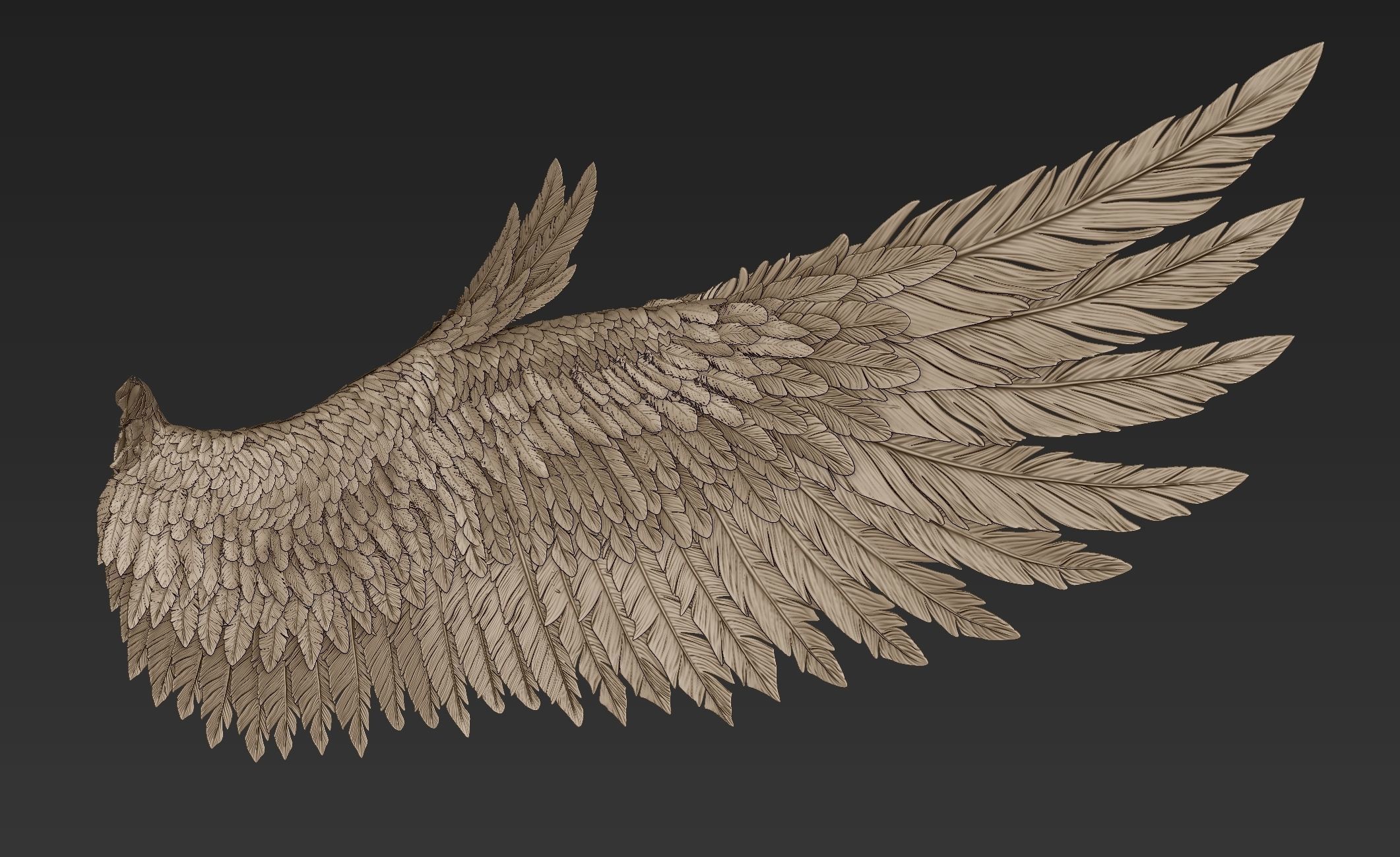 Wings Realistic pair of colorful feathered 3D model | CGTrader
