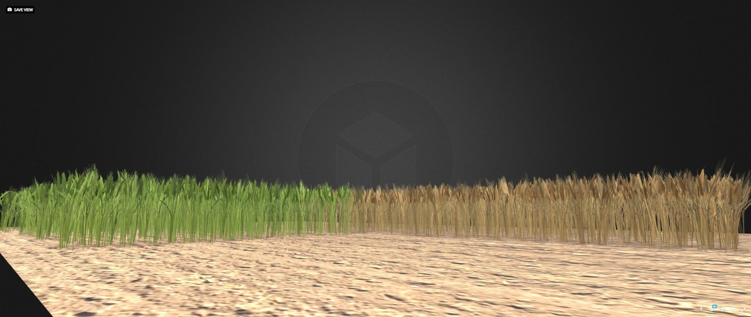 3D model Wheat field VR / AR / low-poly | CGTrader