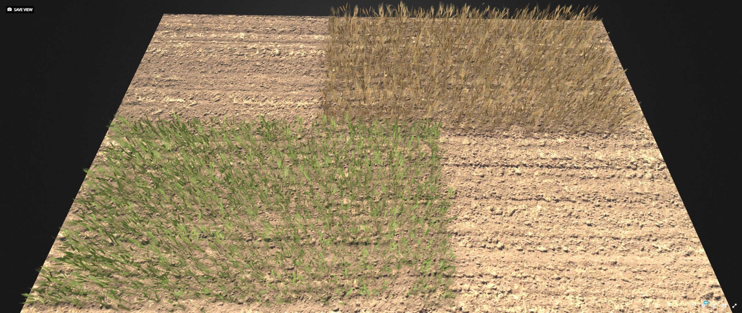 3D model Wheat field VR / AR / low-poly | CGTrader