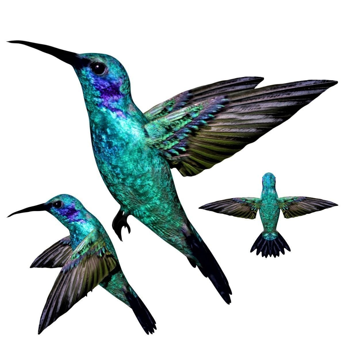 3D model Hummingbird colorful flying in air VR / AR / low-poly | CGTrader