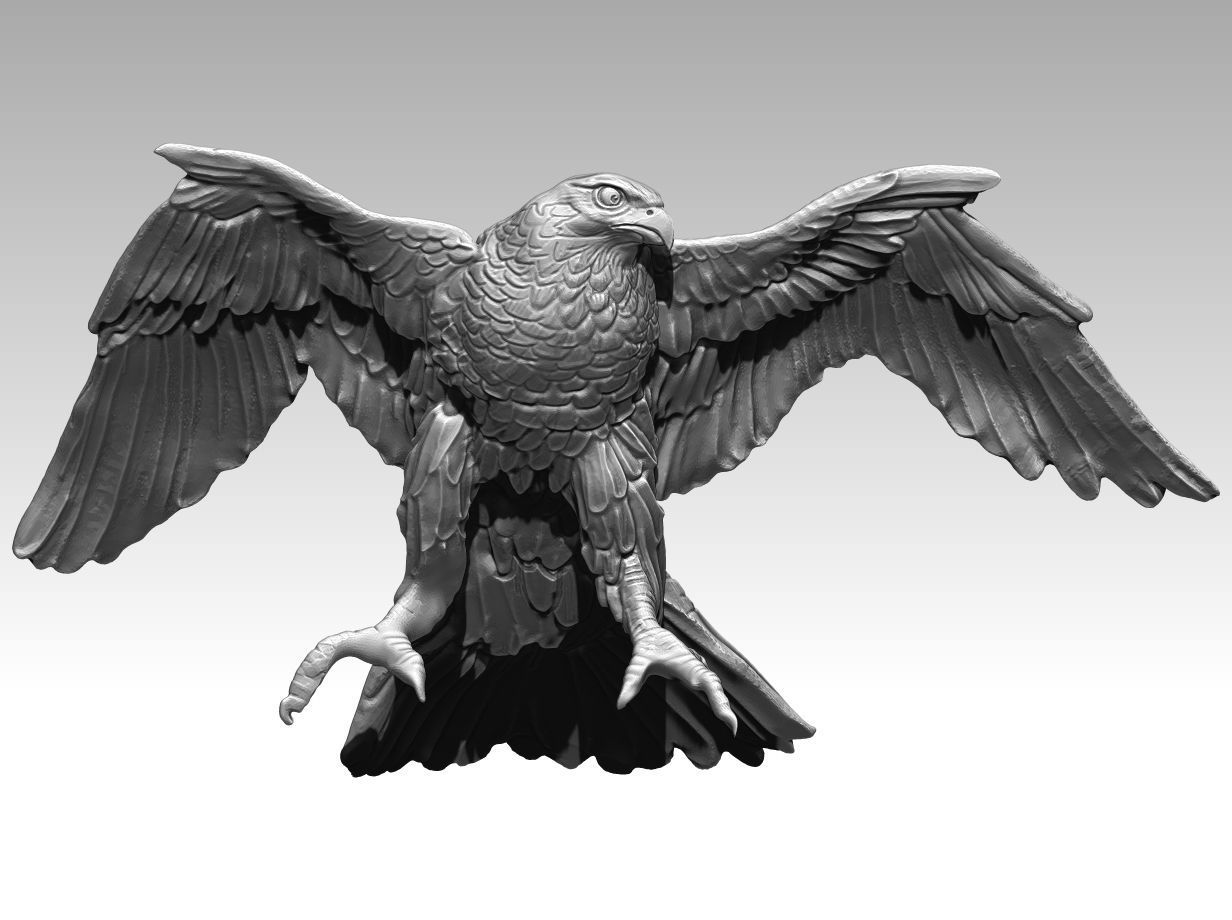 Bird Eagle Hawk High detailed Realistic 3D model 3D printable | CGTrader