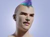 Human Head Mesh free 3D model | CGTrader