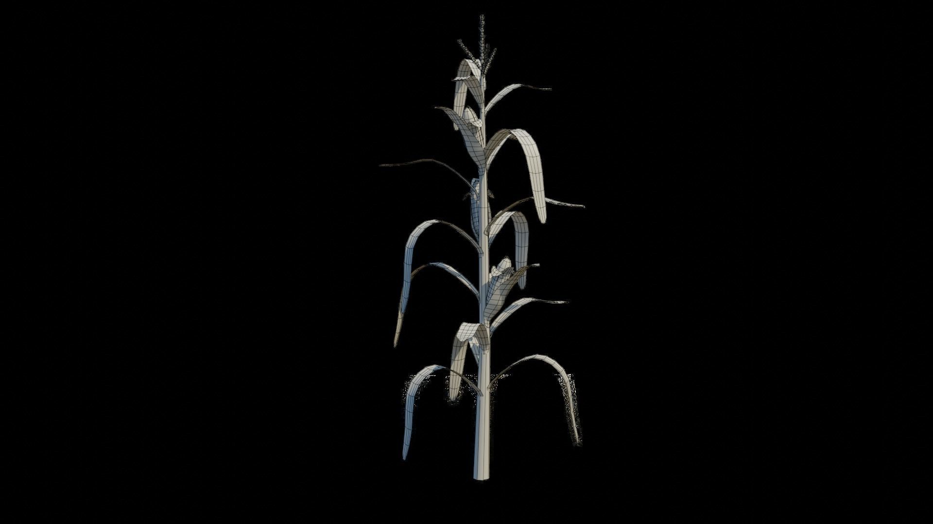 3D model Stylized Corn Stalk VR / AR / low-poly | CGTrader