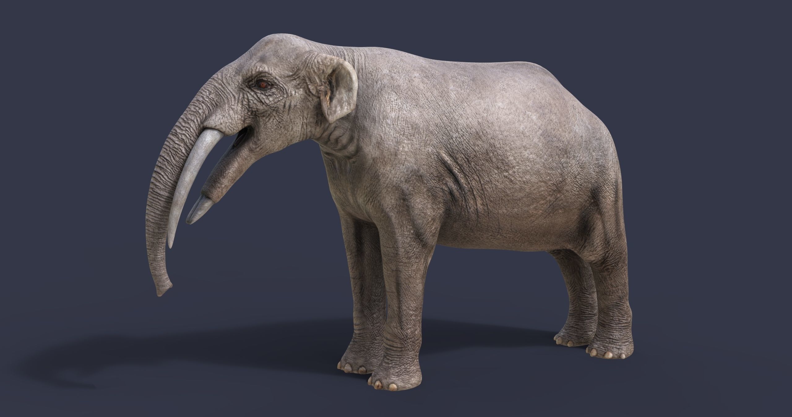 Gomphotherium steinheimense 3D | CGTrader