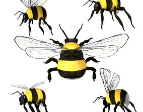 Rigged Bumblebee insect 3D Models | CGTrader
