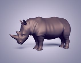 Rhino 3D Models | CGTrader