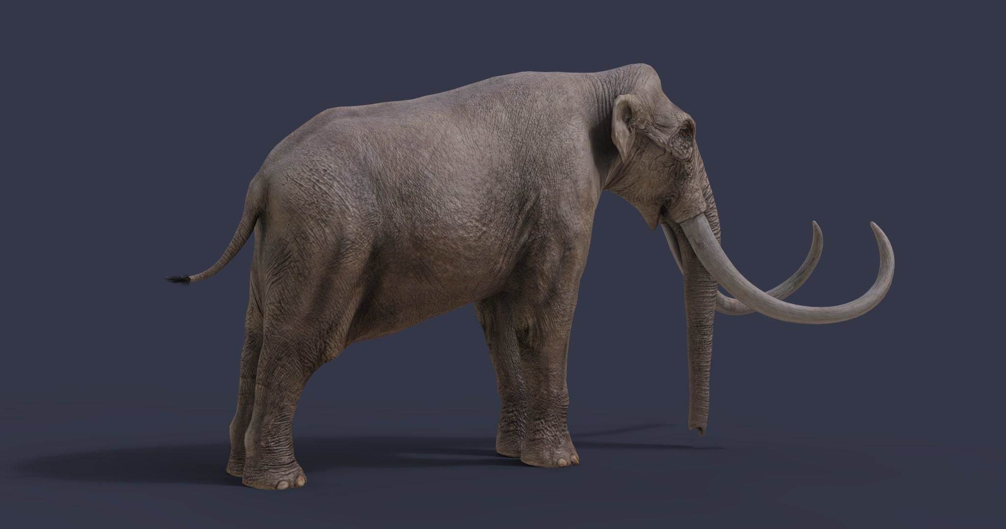 Extinct animals pack version 17 3D model | CGTrader