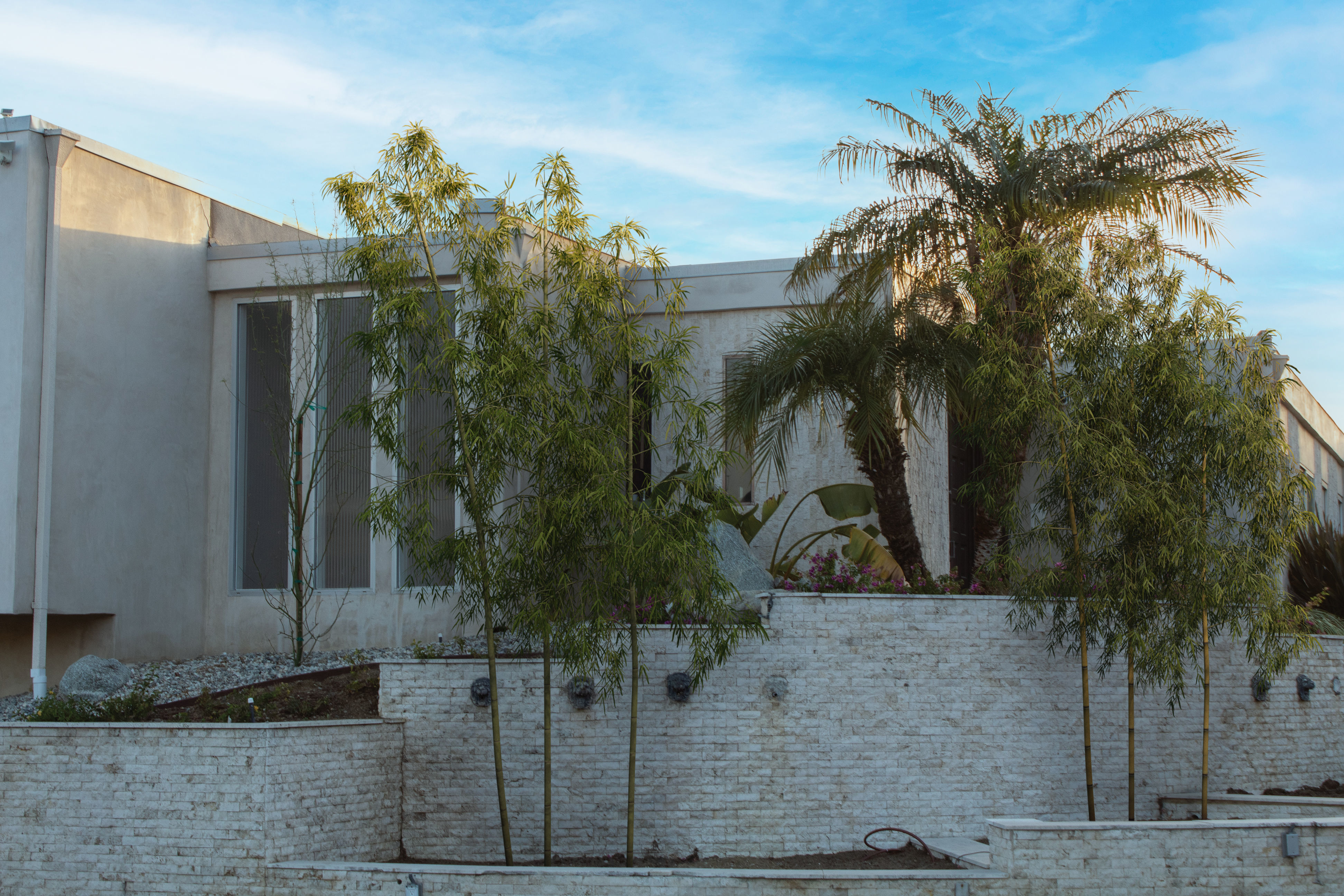 2021 PBR Hachiku Bamboo Collection - Phyllostachys Nigra free 3D model ...