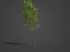 2021 PBR Hachiku Bamboo Collection - Phyllostachys Nigra free 3D model ...