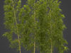 2021 PBR Hachiku Bamboo Collection - Phyllostachys Nigra free 3D model ...