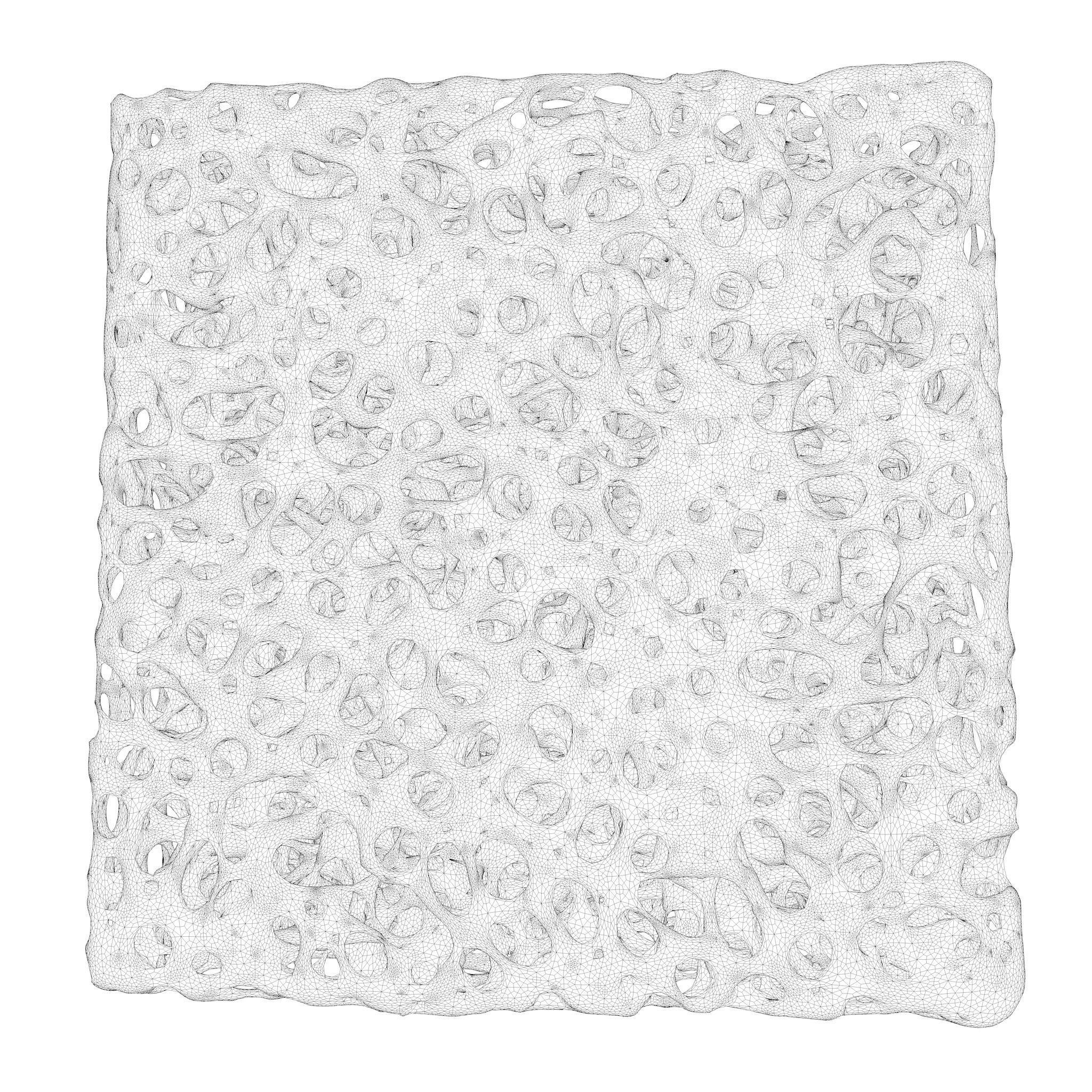 3D model Bone Sponge Structure VR / AR / low-poly | CGTrader