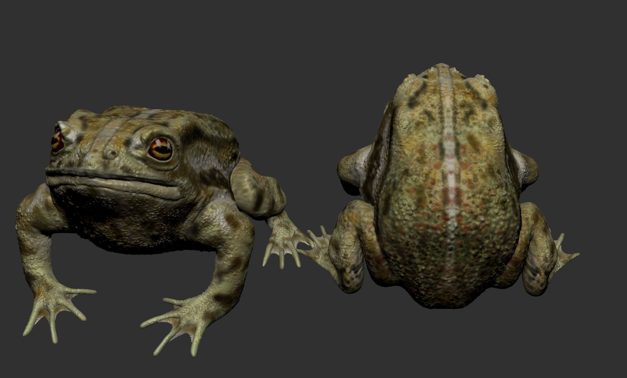 The model Toad 3D model 3D printable | CGTrader