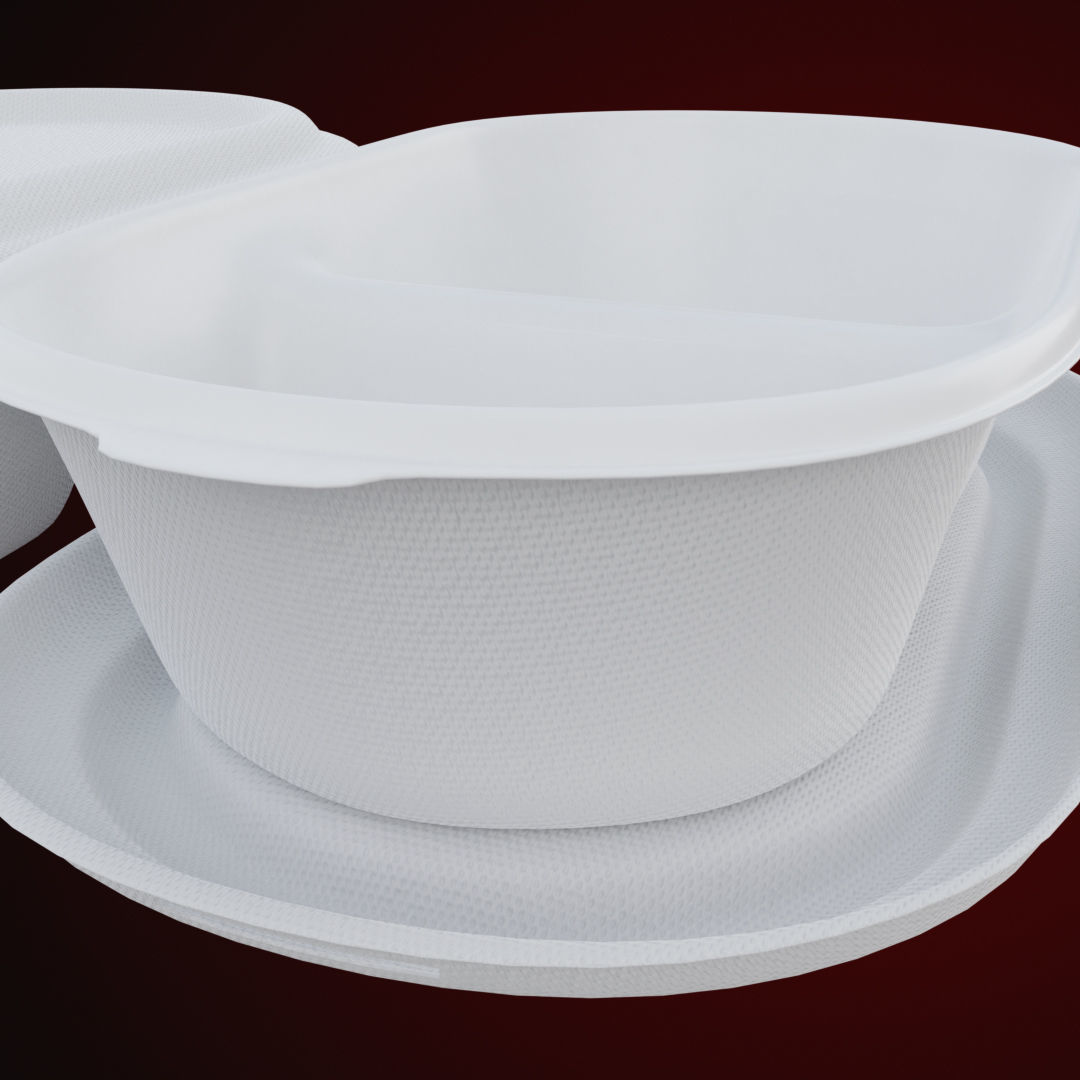 Styrofoam Disposable - Food Container 3D model | CGTrader