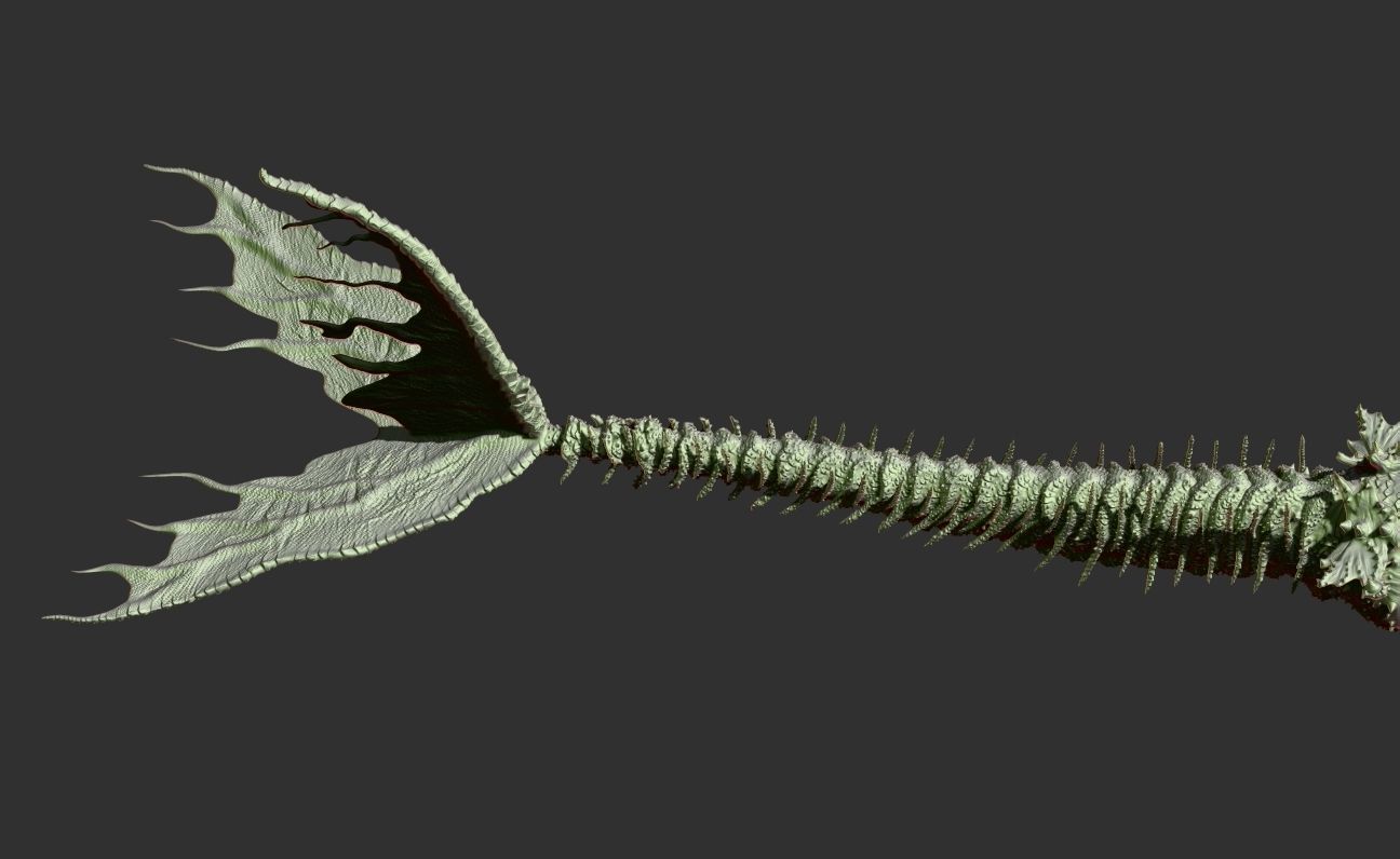 Tail Monsters 10 Pack IMM Curves 3D model | CGTrader