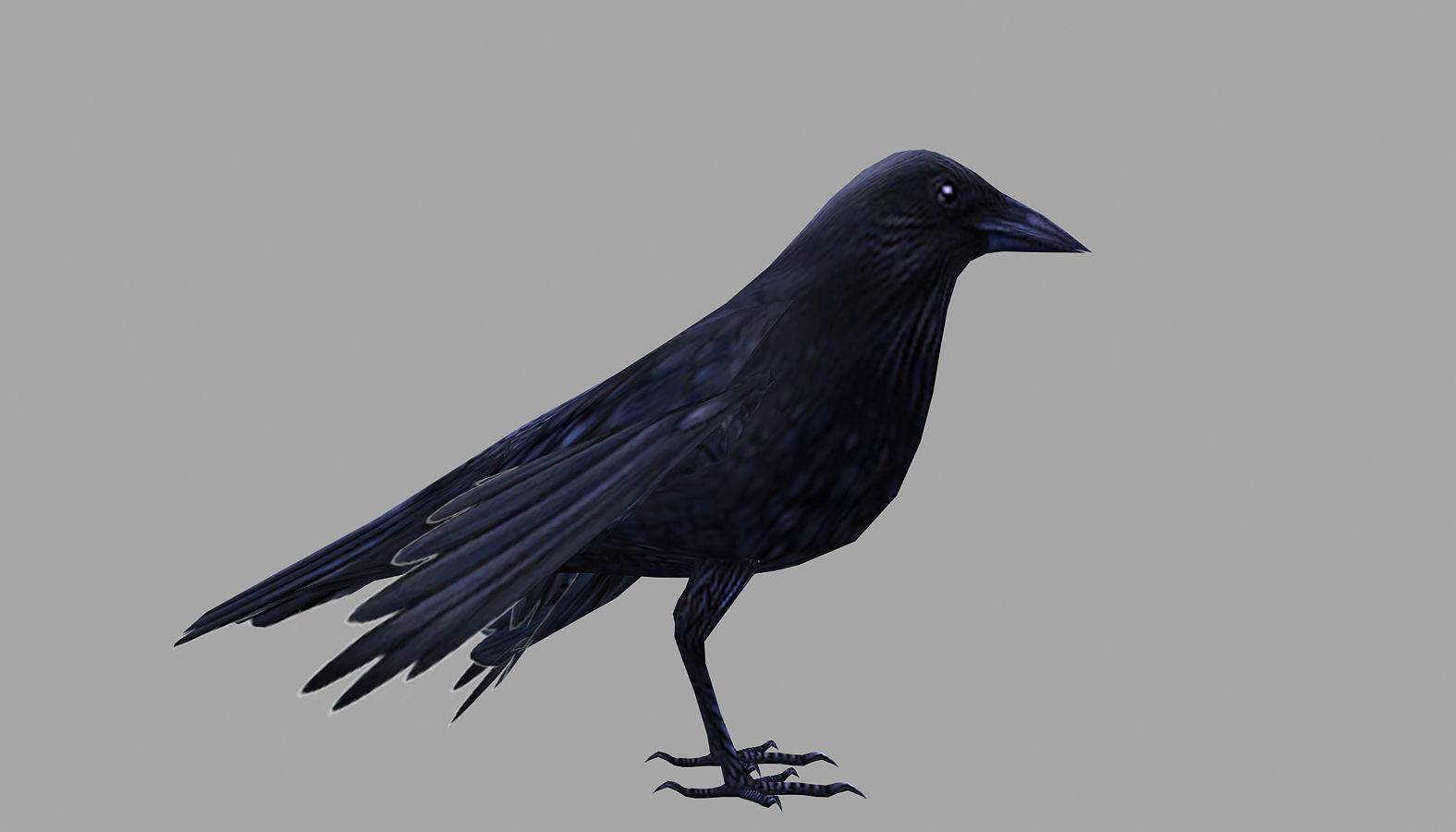 3D model animated low poly crow VR / AR / low-poly | CGTrader