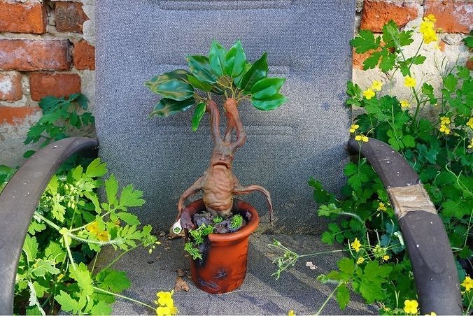 mandrake root plants from the Harry Potter movie 3D model 3D printable ...