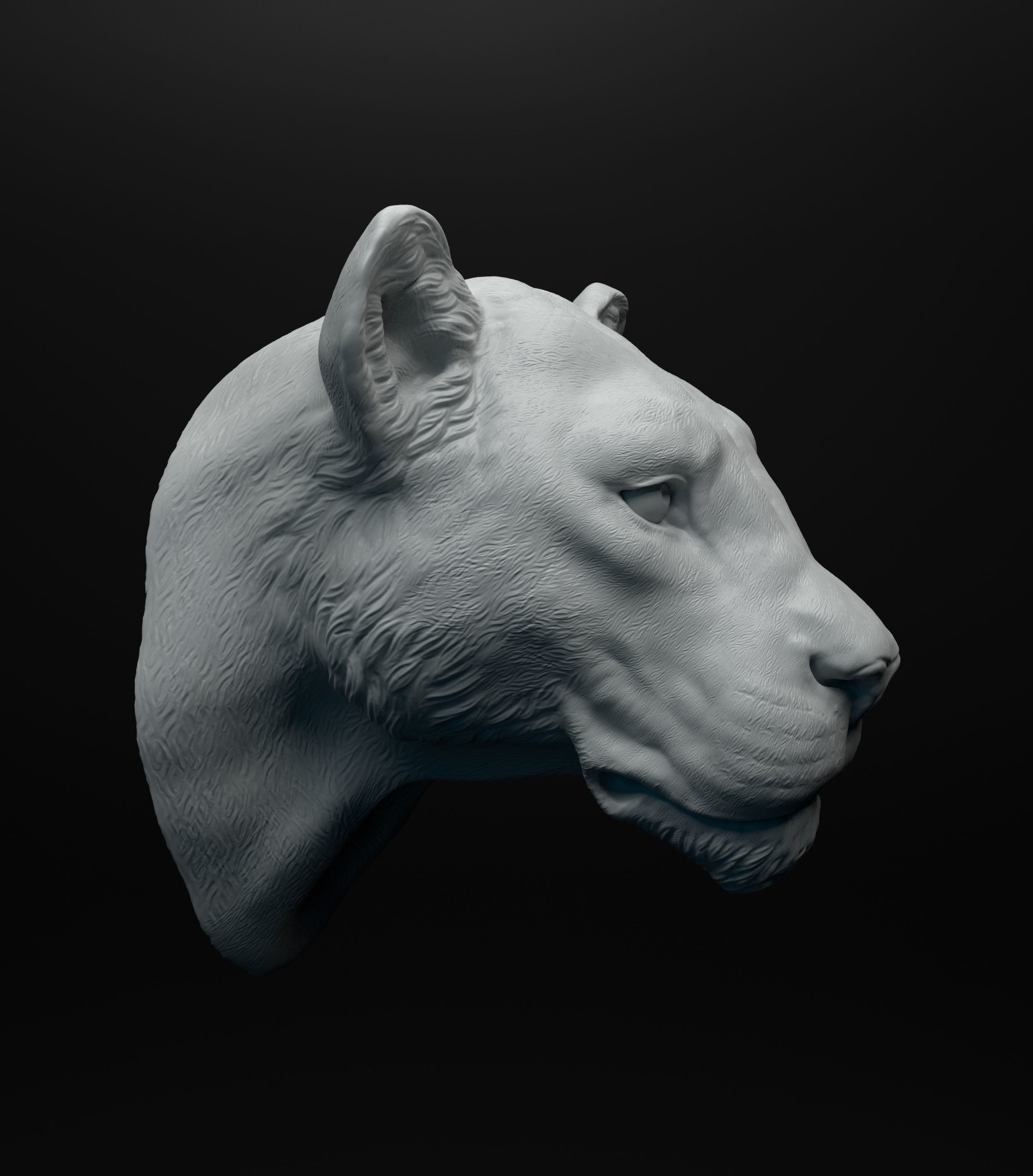 Lioness head intended for 3D printing 3D model 3D printable | CGTrader
