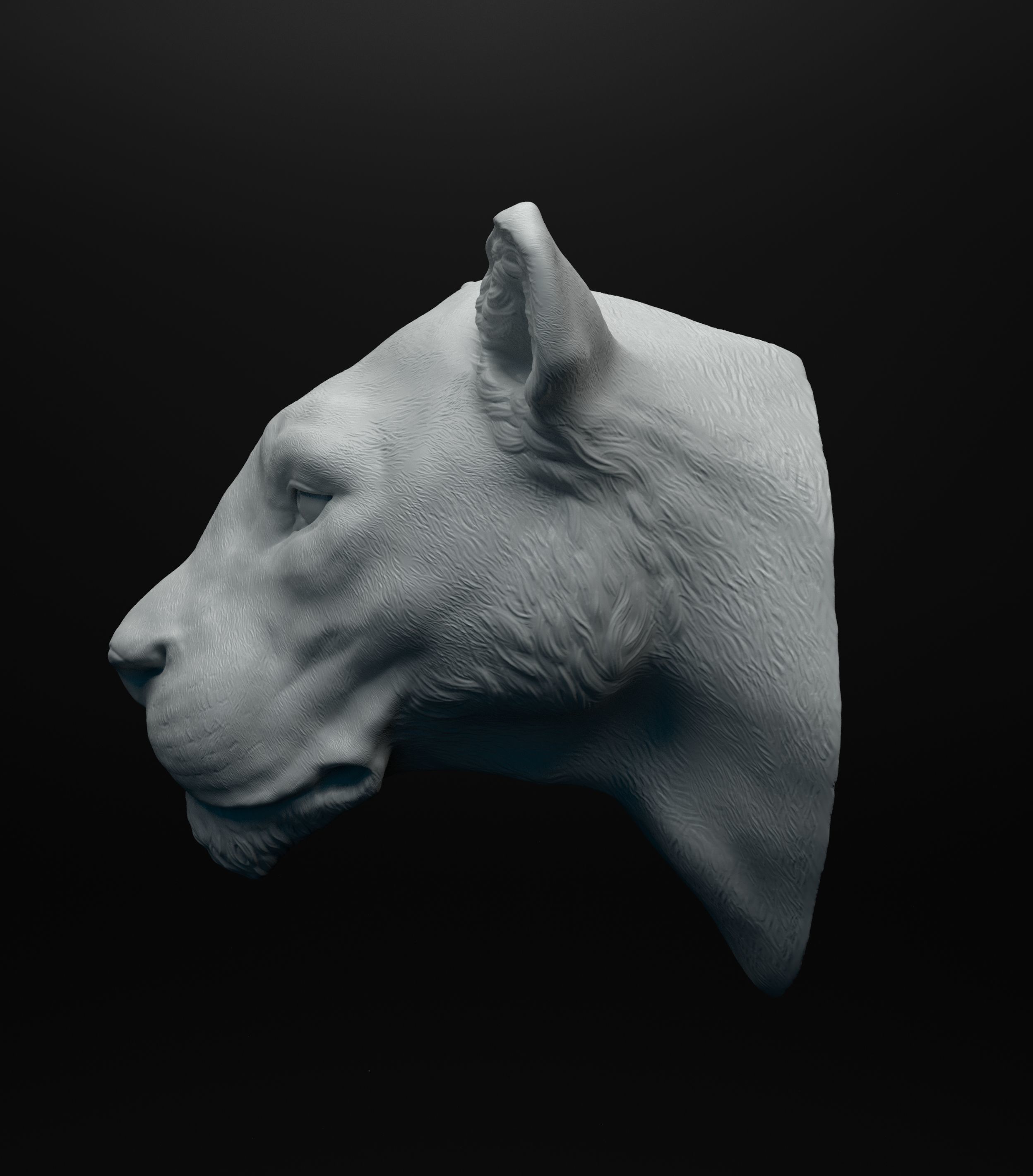 Lioness head intended for 3D printing 3D model 3D printable | CGTrader