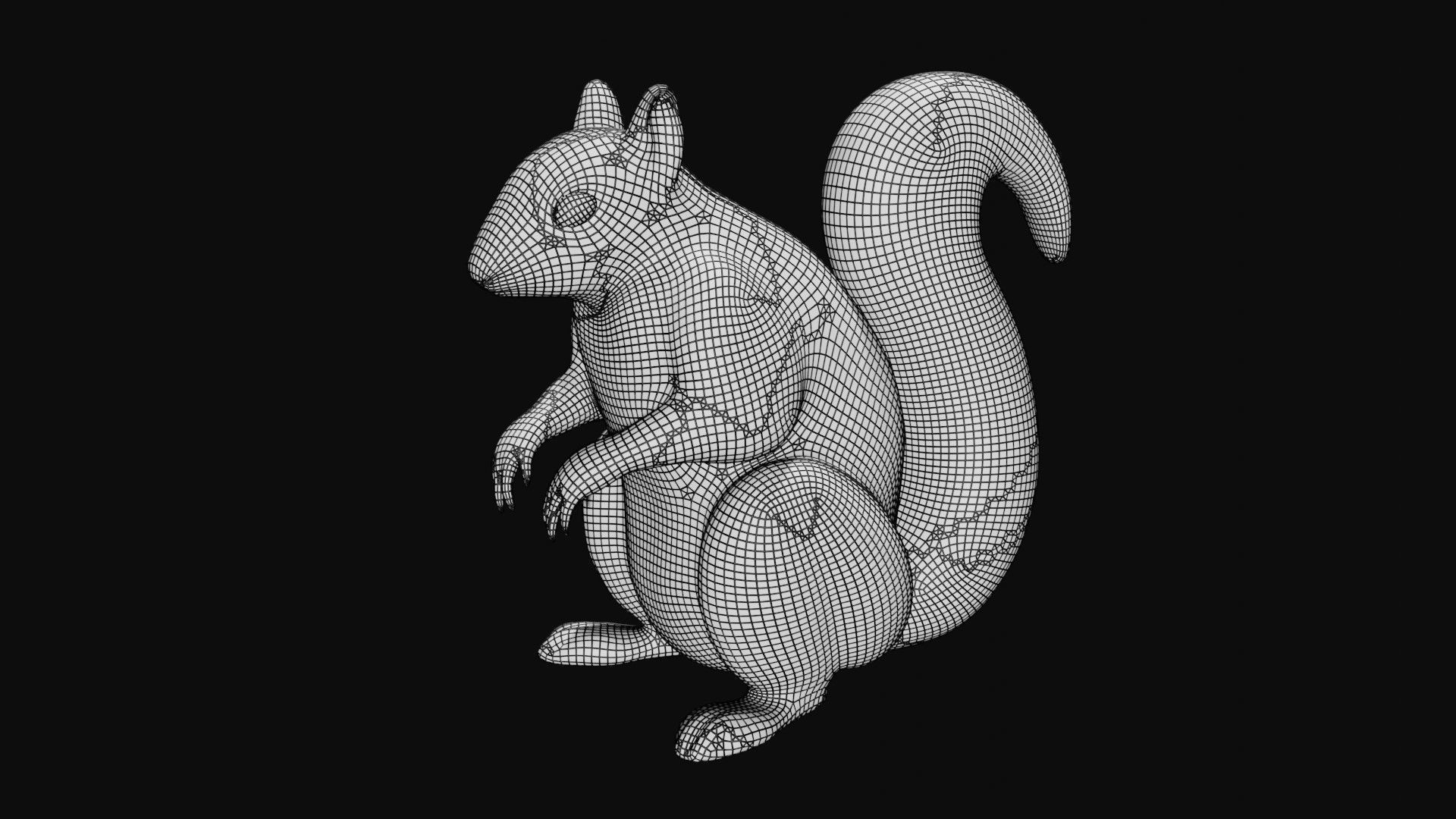 3D model Squirrel VR / AR / low-poly | CGTrader