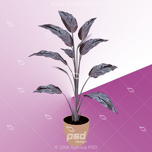 Real planta model 3D model | CGTrader