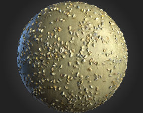 Free Shell 3D Models | CGTrader